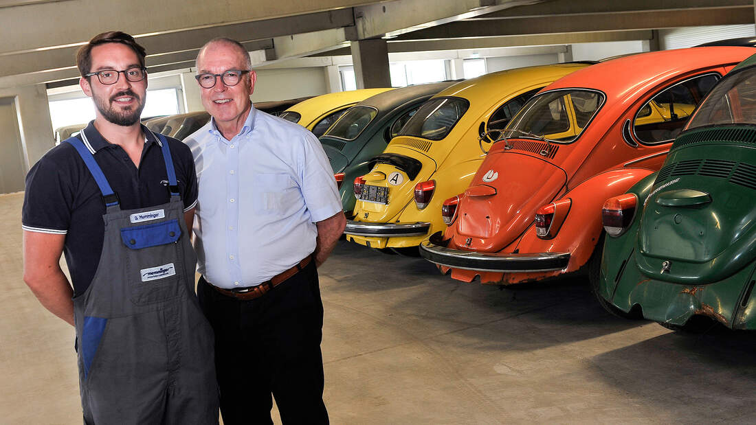 1303 von Memminger: Dieser neue Käfer kostet 83.500 Euro - auto motor ...