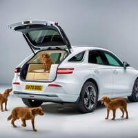 Genesis GV70 X Dog Hunde-Ausstattung | AUTO MOTOR UND SPORT