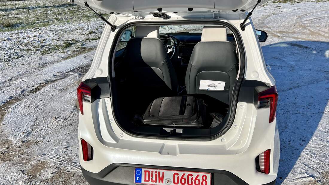 Elaris Dyo: Elektro-Zwerg aus China im Fahrbericht | AUTO MOTOR UND SPORT