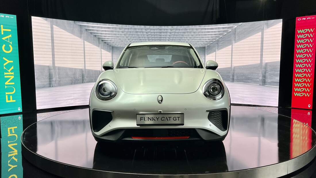 Ora Funky Cat: Alle Preise und Versionen | AUTO MOTOR UND SPORT