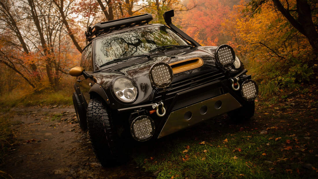 Offroad-Mini in der Auktion: Dieser Mini ist fürs Gelände | AUTO MOTOR ...