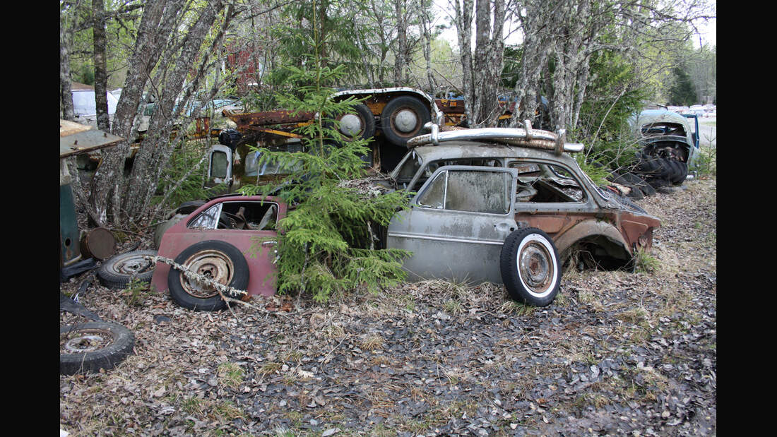 Autofriedhof Båstnäs: Schrott und die Welt - auto motor und sport
