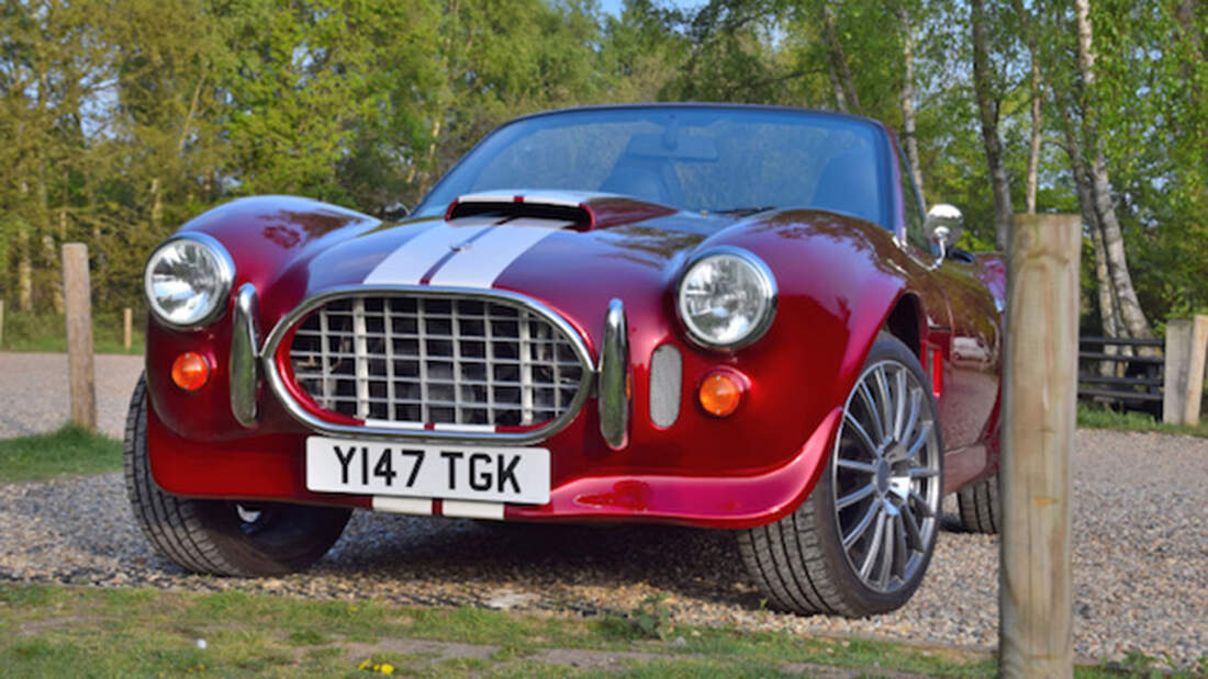 BMW Z3 Umbau: So wird aus dem BMW-Roadster eine Giftschlange | AUTO ...