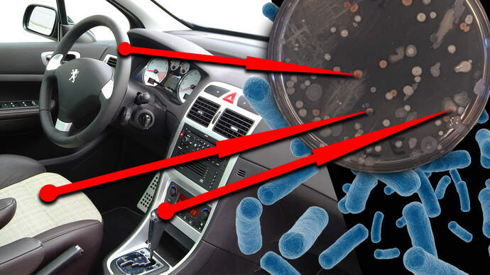 Sandro Vitale | AUTO MOTOR UND SPORT