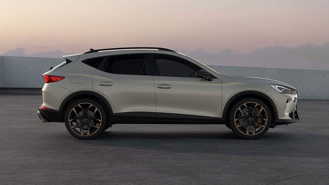 Cupra Formentor VZ5 Taiga Grey: Sondermodell | AUTO MOTOR UND SPORT