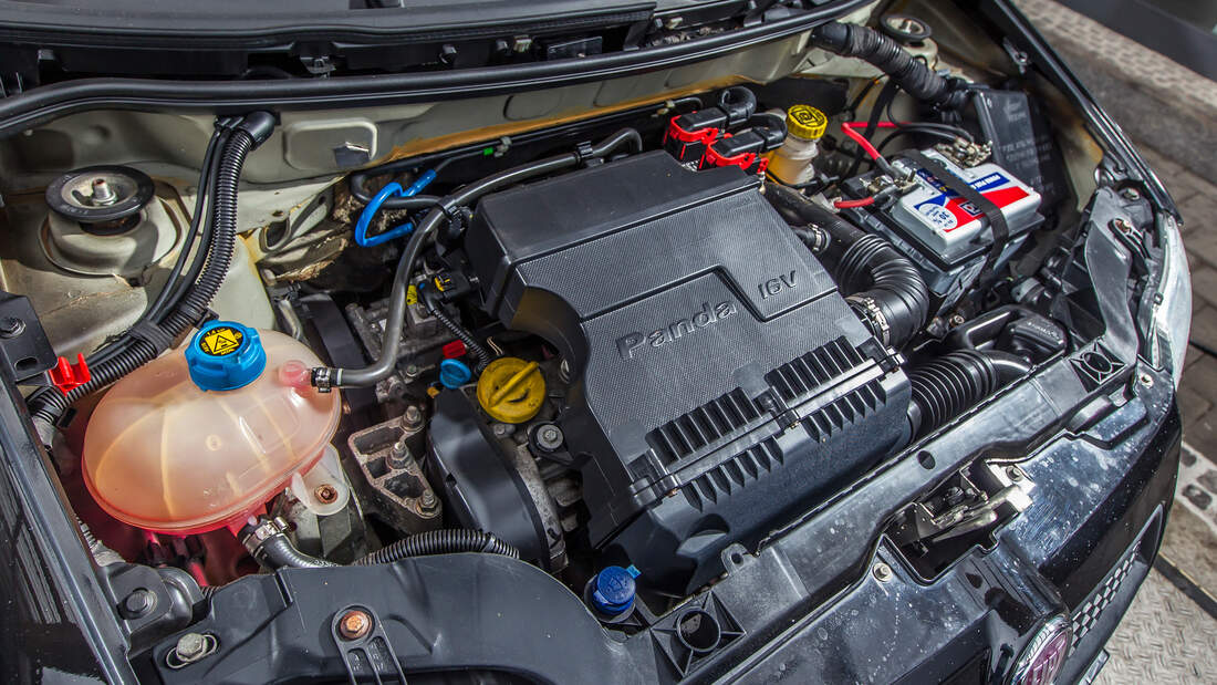 Panda 100HP, Swift Sport, Lupo GTI: Gebrauchtwagen-Check - auto motor ...