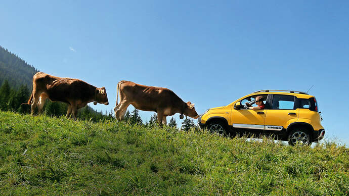 Fiat Panda Alle Generationen, neue Modelle, Tests & Fahrberichte - AUTO ...