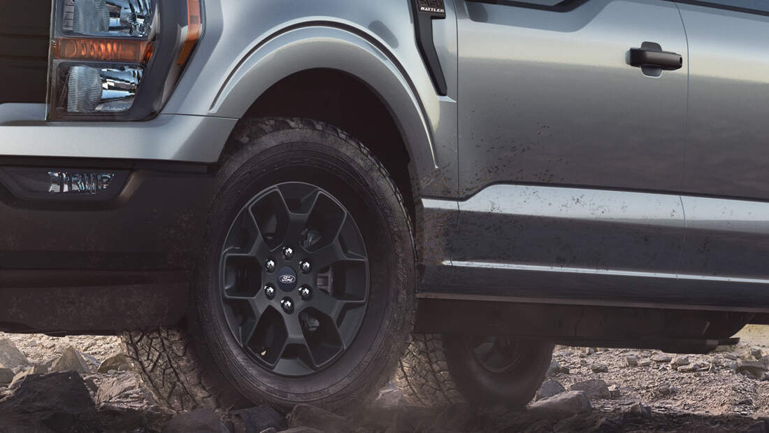 Ford F-150 Rattler Premiere: Klapperschlangen-Pick-up | AUTO MOTOR UND ...