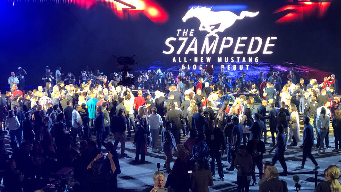 Dark Horse S und R: Neue Mustang-Marke für Rennautos | AUTO MOTOR UND SPORT