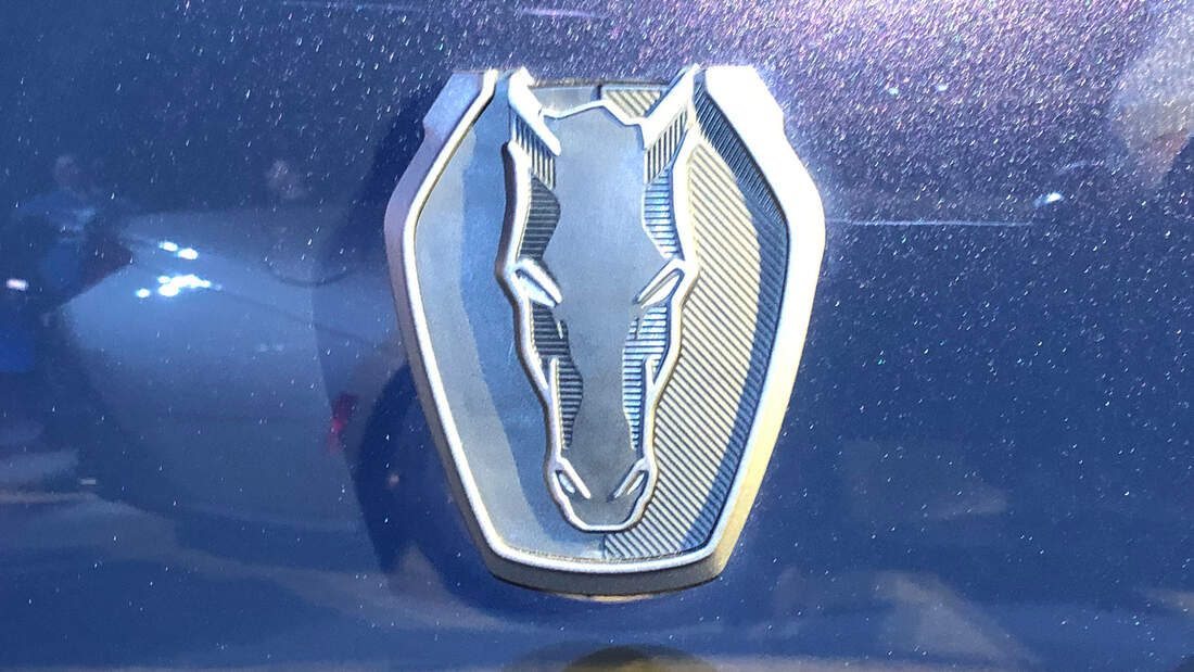 Dark Horse S und R: Neue Mustang-Marke für Rennautos | AUTO MOTOR UND SPORT