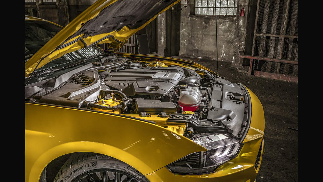 Ford Mustang GT (2019) im Test - auto motor und sport