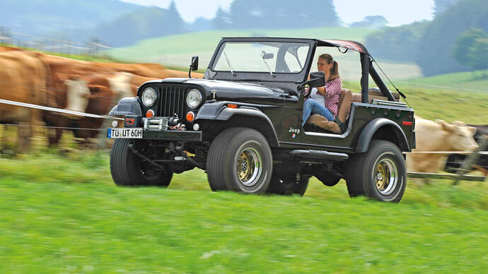 Jeep Wrangler Alle Generationen, neue Modelle, Tests & Fahrberichte ...