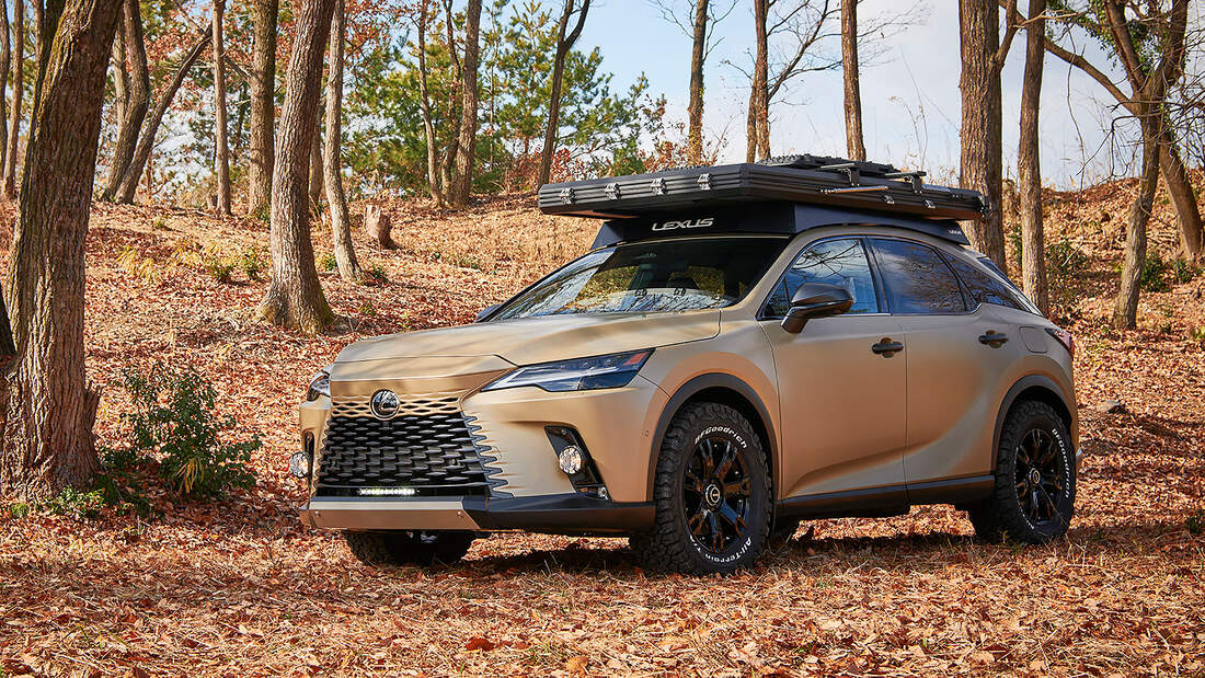 Lexus RZ Sport Concept beim Tokyo Auto Salon 2023 | AUTO MOTOR UND SPORT