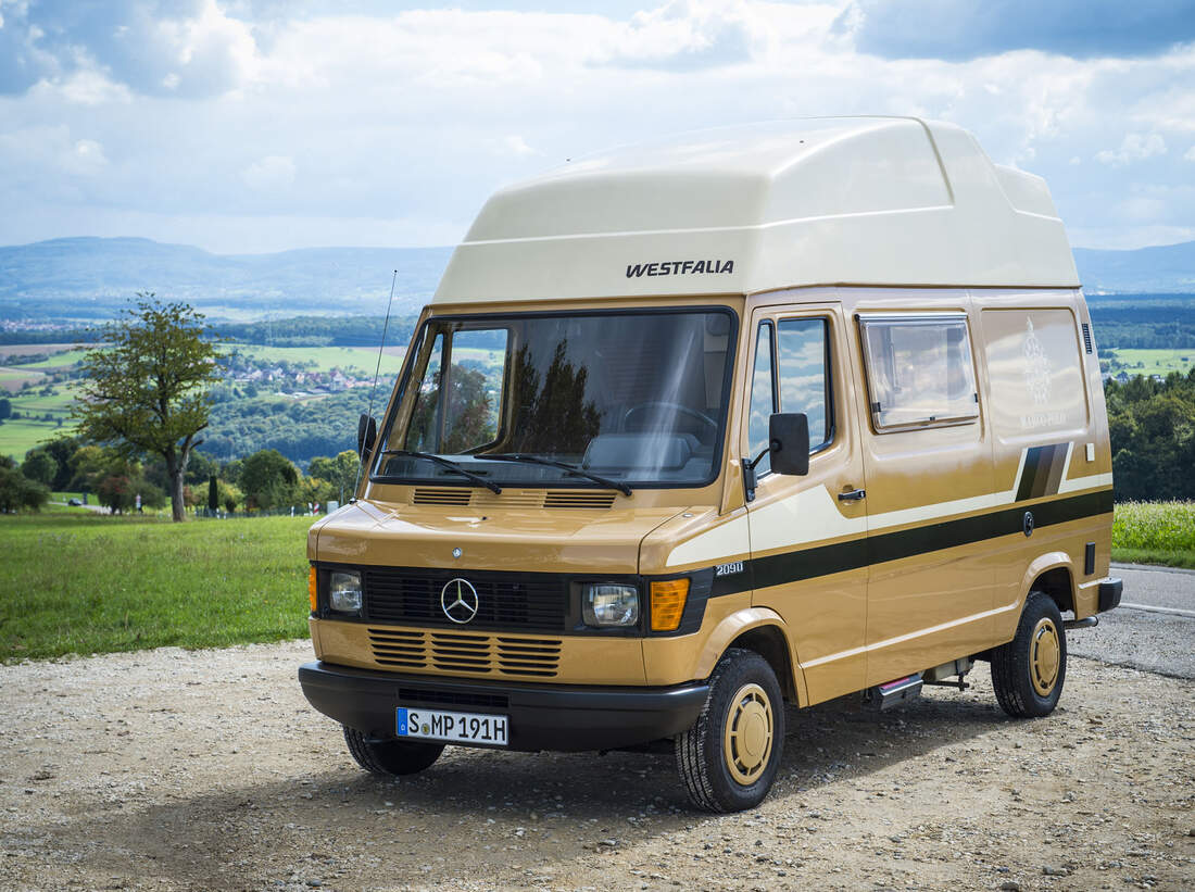 Mercedes 209 D T1 Marco Polo: Zeitreise mit Stern - auto motor und sport