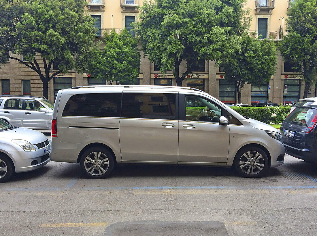 Mercedes V 250 d im Test - auto motor und sport