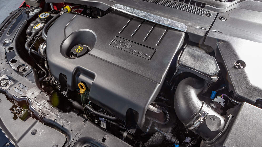 Range Rover Evoque (2019) im Fahrbericht - auto motor und sport