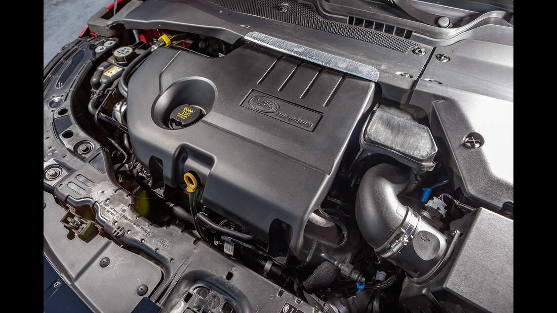 Range Rover Evoque (2019) im Fahrbericht | AUTO MOTOR UND SPORT