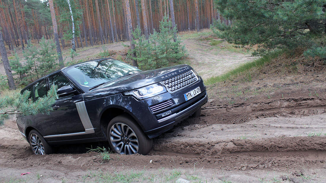 Land Rover Range Rover TDV8 im Supertest - auto motor und sport