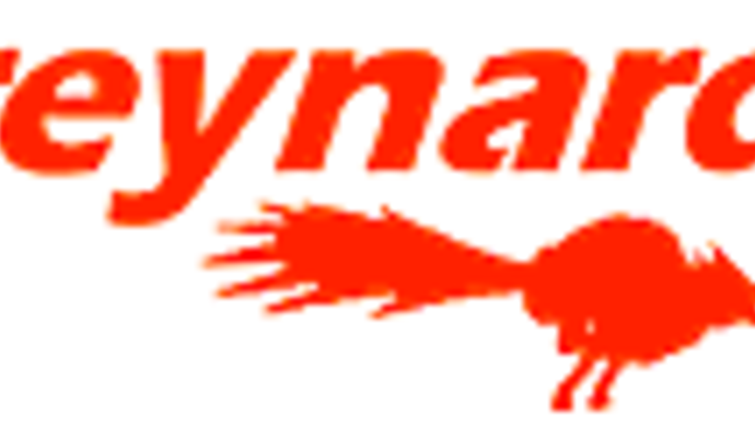Reynard Tests & Fahrberichte, aktuelle Neuvorstellungen, Erlkönige ...