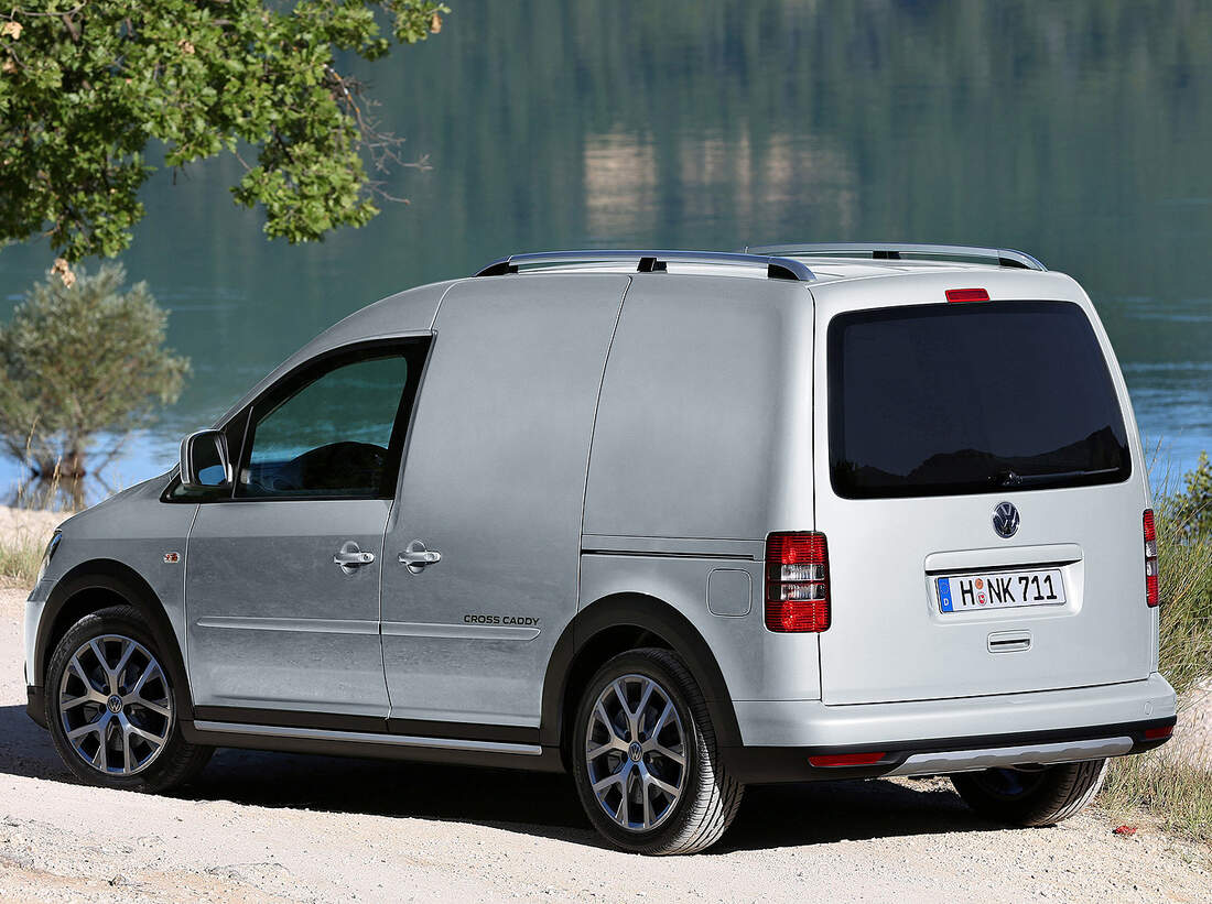 Berlingo, Caddy, Citan und Co.: So finden Sie Ihren Kleintransporter ...