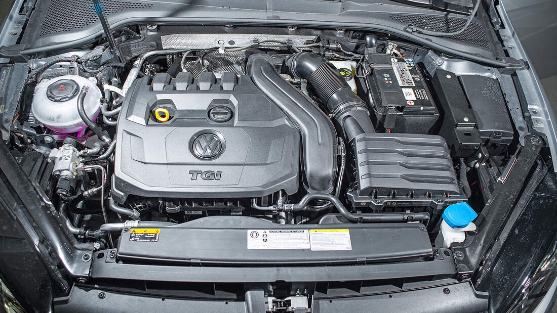 VW Golf 1.5 TGI BlueMotion im Test - auto motor und sport