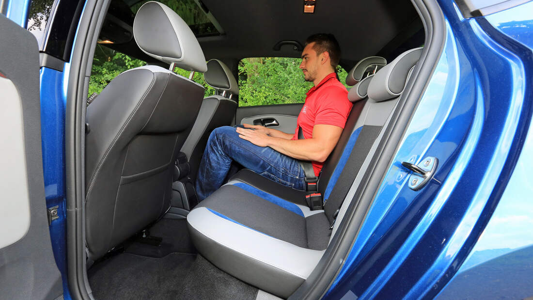 VW Polo Blue GT im Test - auto motor und sport