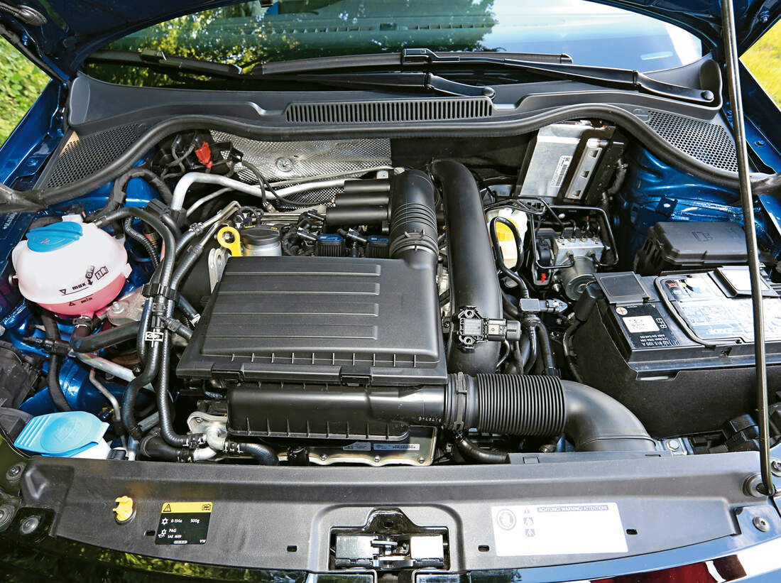 VW Polo Blue GT im Test - auto motor und sport