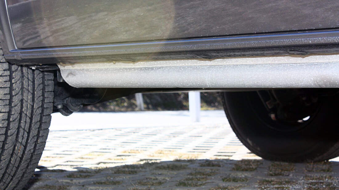 VW Rockton Expedition im Test - auto motor und sport