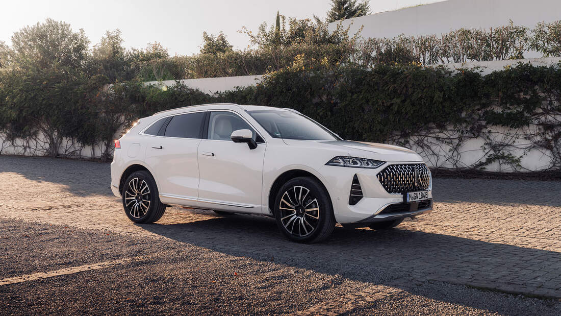 Wey Coffee 01: Kaffeefahrt mit 476 Plug-in-PS | AUTO MOTOR UND SPORT