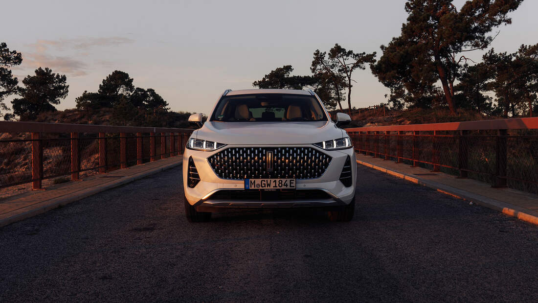 Wey Coffee 01: Kaffeefahrt mit 476 Plug-in-PS | AUTO MOTOR UND SPORT