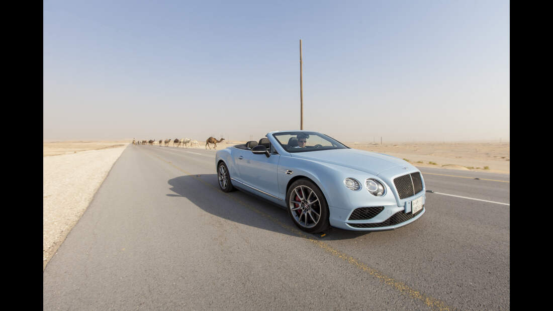 Alle Allradler in Deutschland: Alle 4x4-Modelle im Katalog | AUTO MOTOR ...