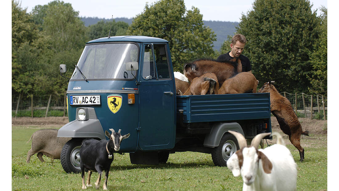 Piaggio Ape P 501 im Fahrbericht: Fleissige Biene (Technische Daten ...