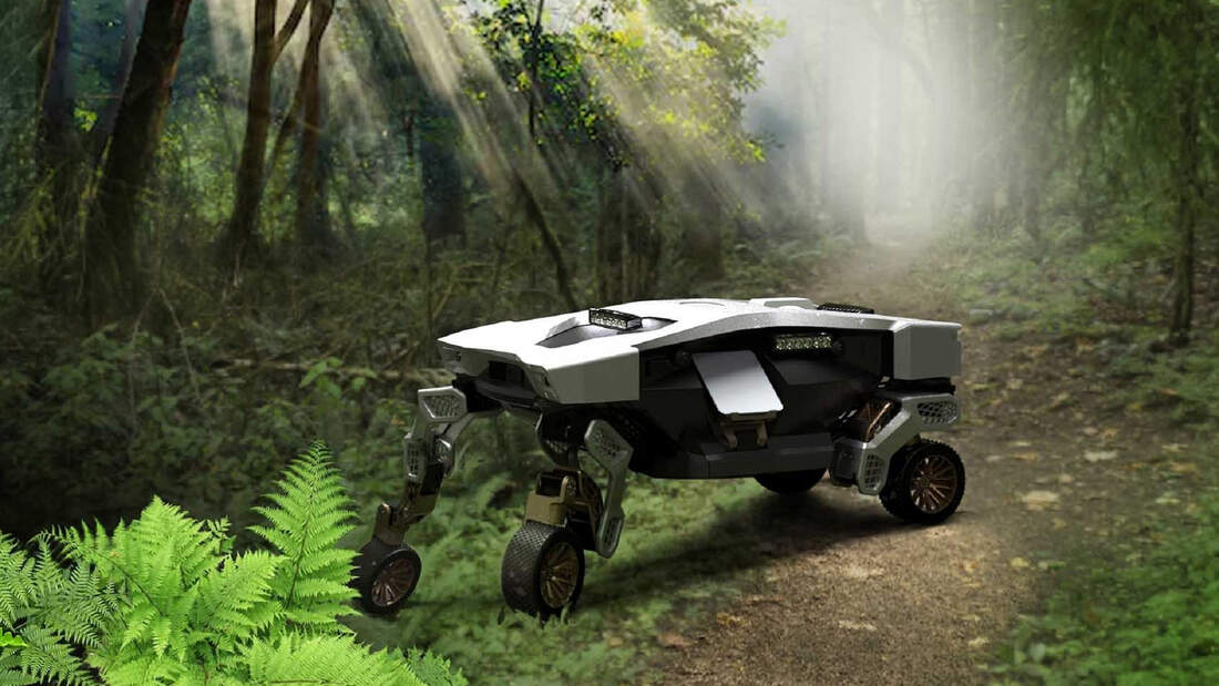 Hyundai Tiger X-1: Roboter kommt überall hin | AUTO MOTOR UND SPORT