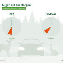 Wildunfälle: So verhalten Sie sich richtig | AUTO MOTOR UND SPORT