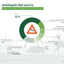 Wildunfälle: So verhalten Sie sich richtig | AUTO MOTOR UND SPORT