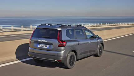 Neuzulassungen nach Segmenten im Dezember 2024